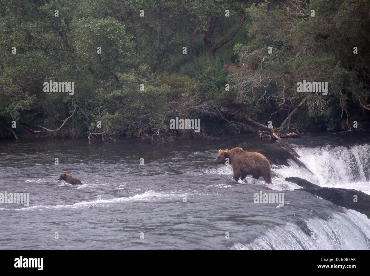 Wade across hi-res stock photography and images - Alamy