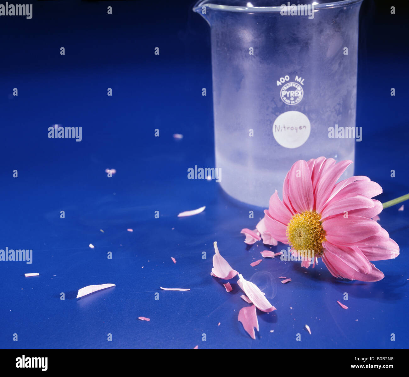 Liquid nitrogen hi-res stock photography and images - Alamy