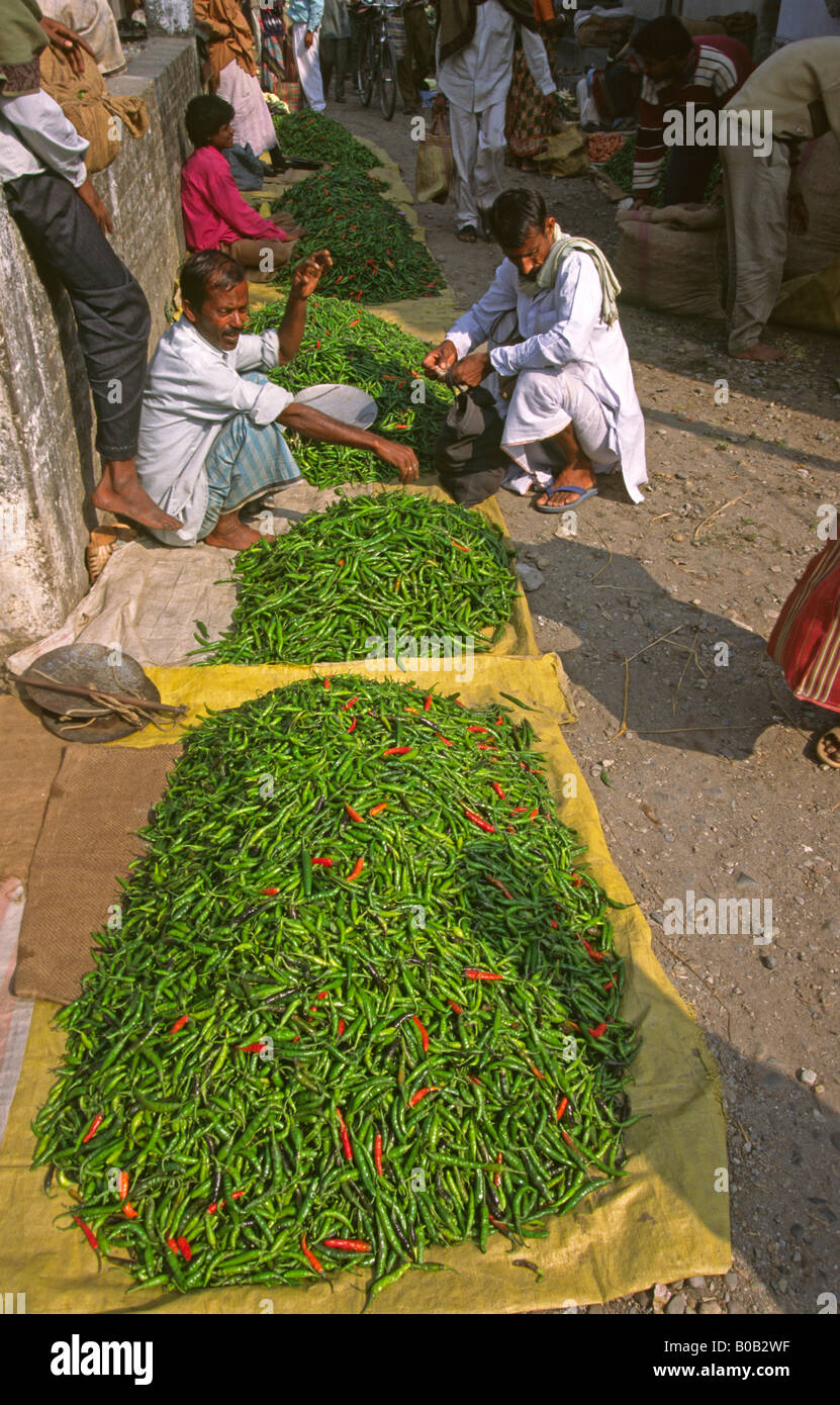 Indian West Bengal Madarihat weekend market chilli stall Stock Photo ...