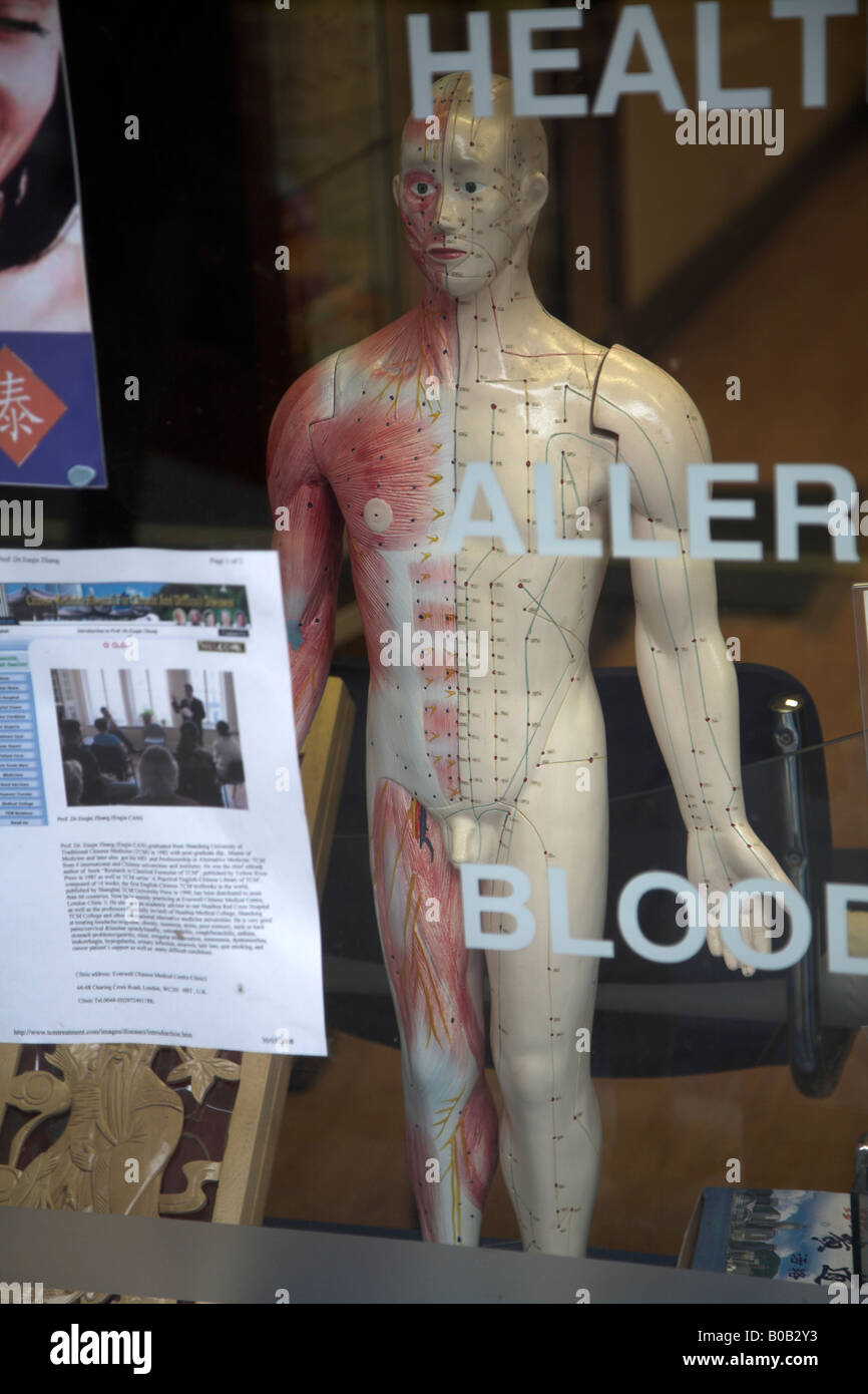 Chinese medicine shop window human body figure Soho, London, England ...