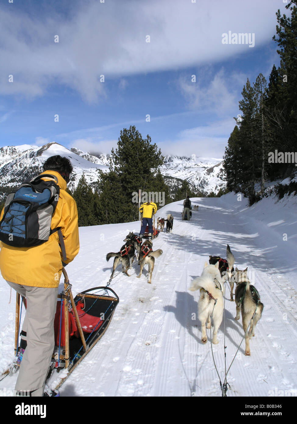 Dogsled races hi-res stock photography and images - Alamy