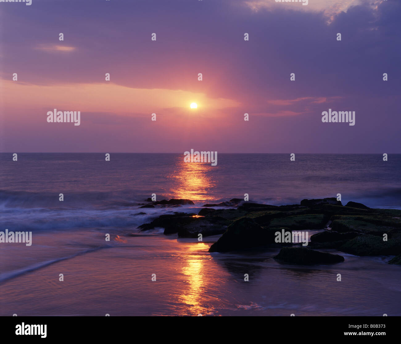 Zsb1 hi-res stock photography and images - Alamy