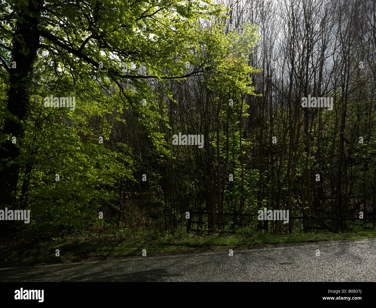 Merstham surrey hi-res stock photography and images - Alamy