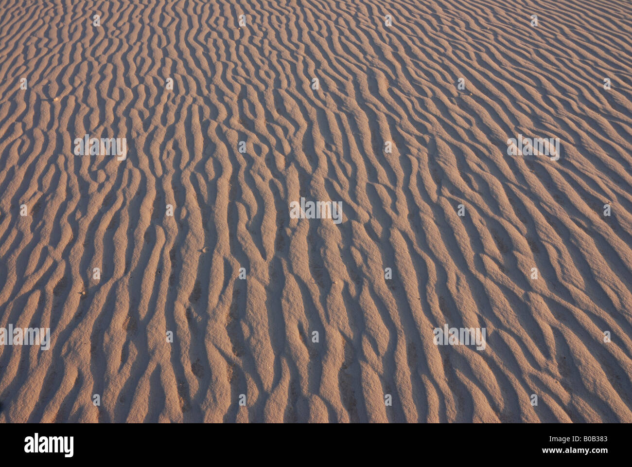 rippled gypsum sand dunes in the White Sands National Monument New ...