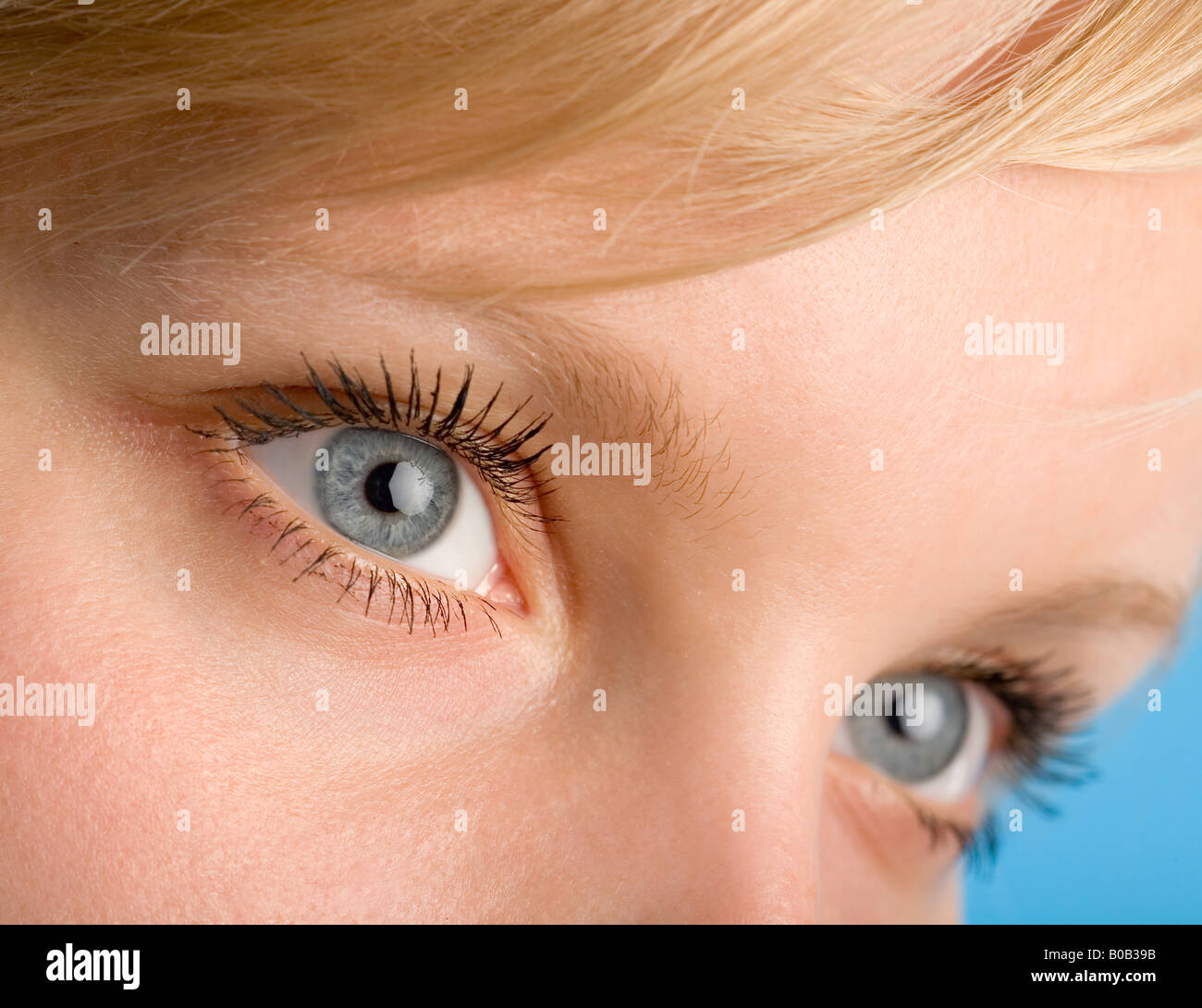 the fragment of woman s face with open eyes macro Stock Photo - Alamy