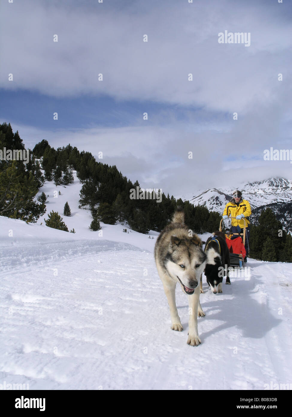 Dogsled races hi-res stock photography and images - Alamy