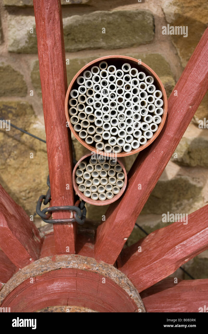 Insect house habitat with hollow tubes of varying sizes to attract bees ...