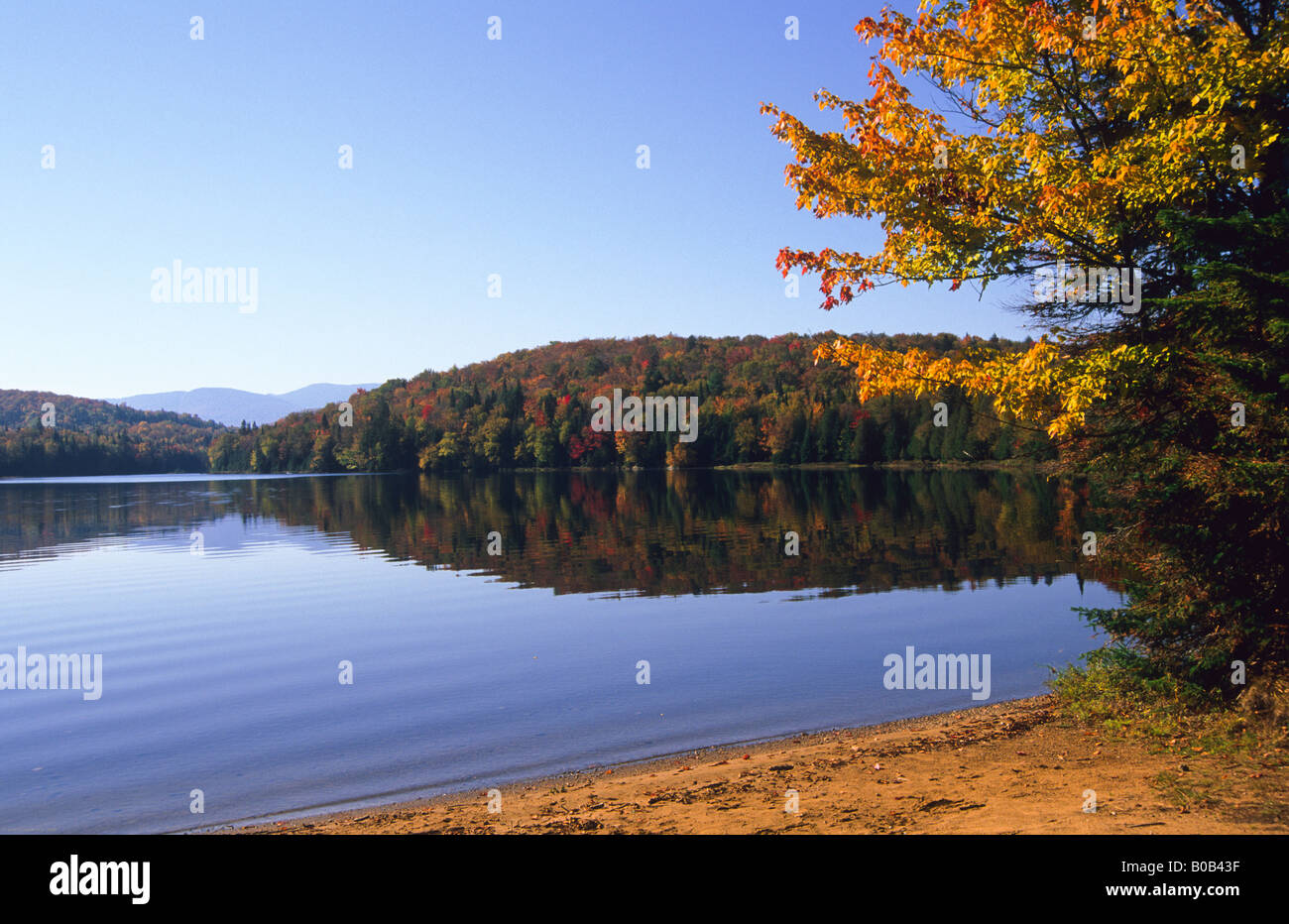 Lac Monroe and fall colors (autumn leaves) in Mont Tremblant National ...