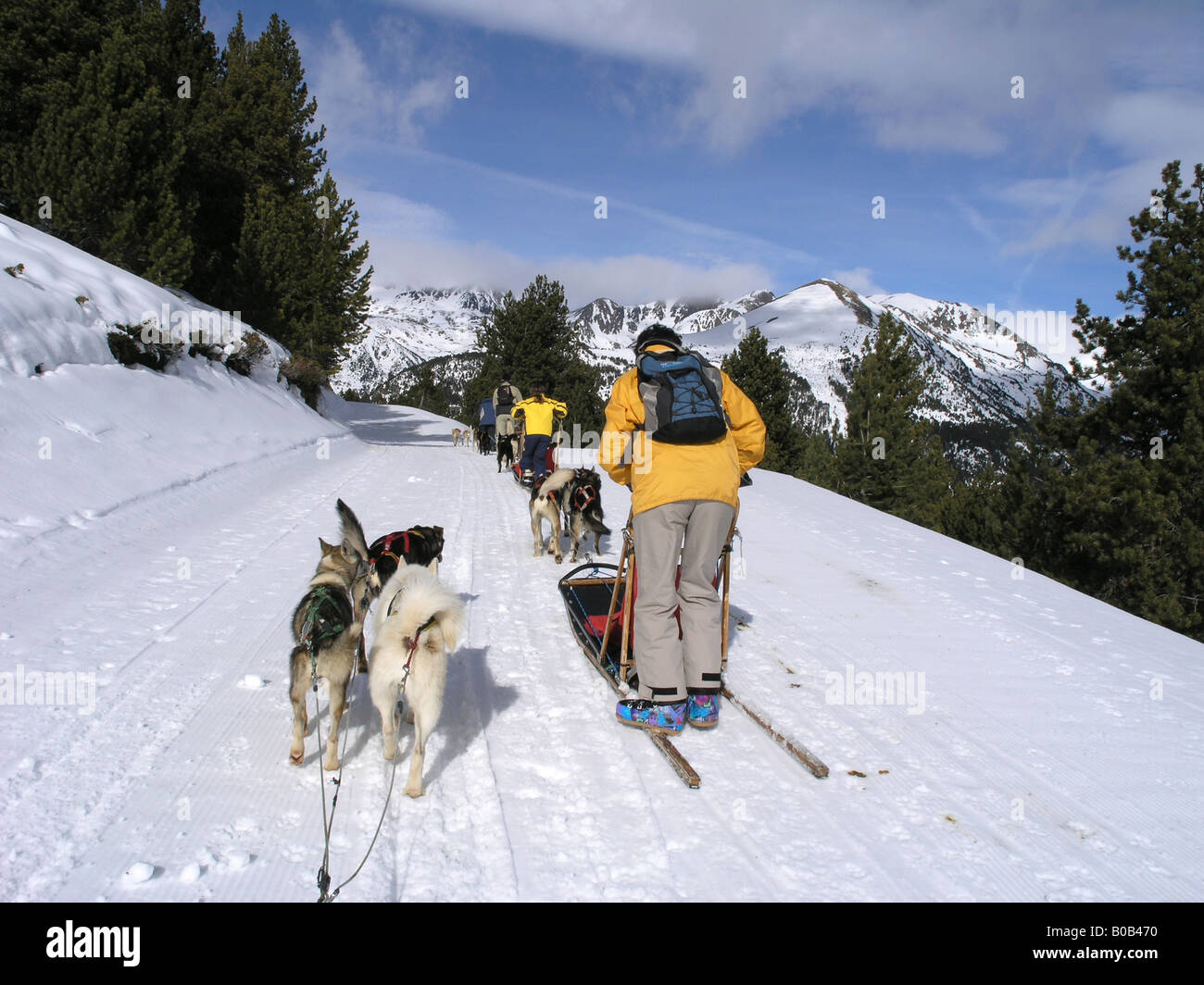 Dogsled races hi-res stock photography and images - Alamy