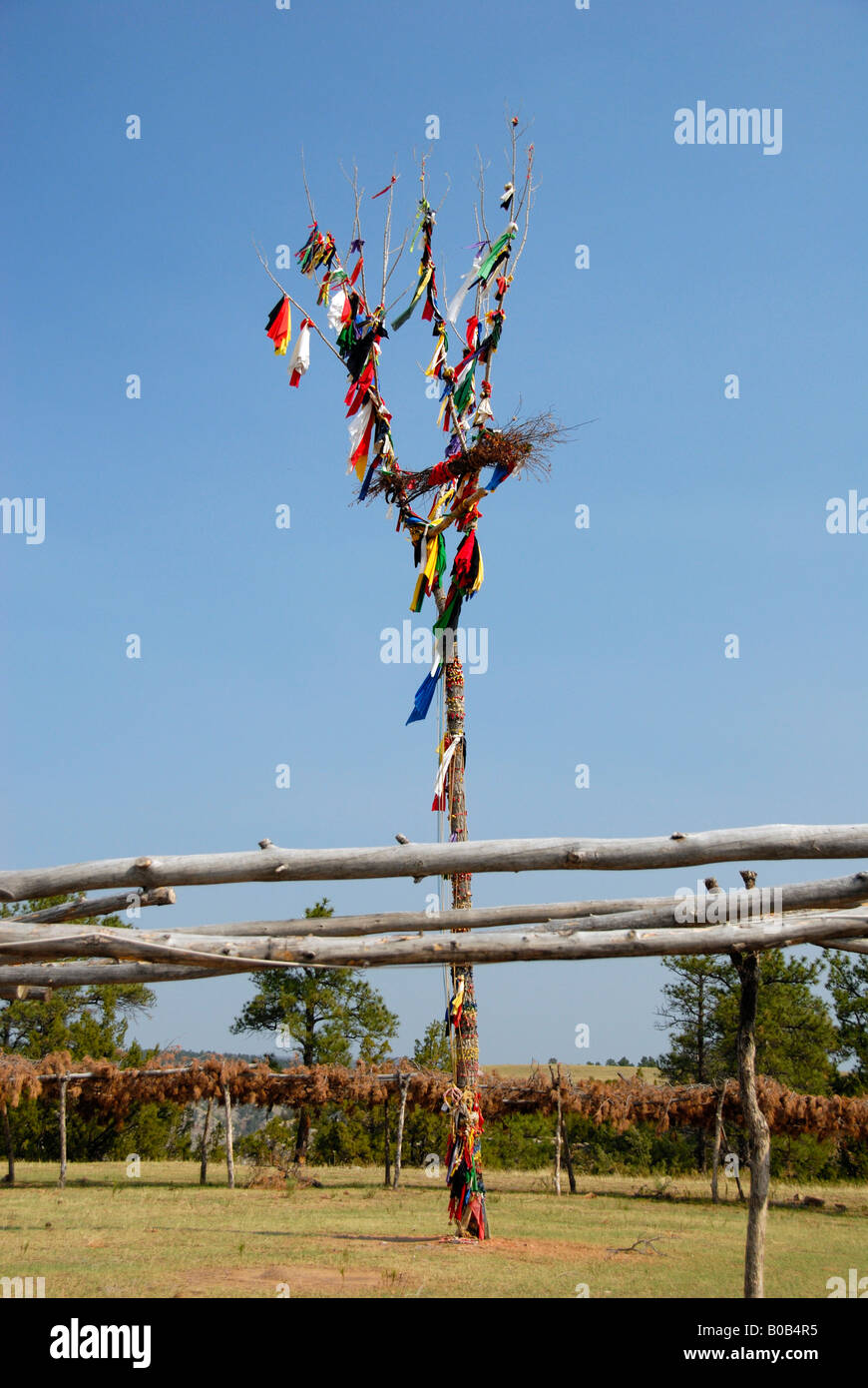 Lakota Sundance Tree