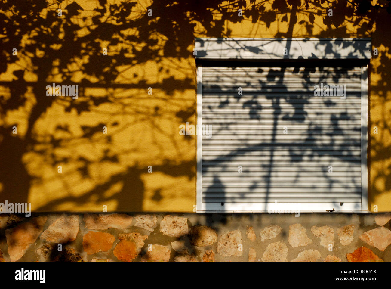 shadows of vines against sand yellow wall in bright sunshine Stock ...