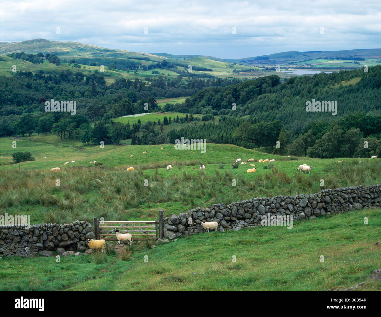 dumfries and galloway landscape, scotland Stock Photo - Alamy