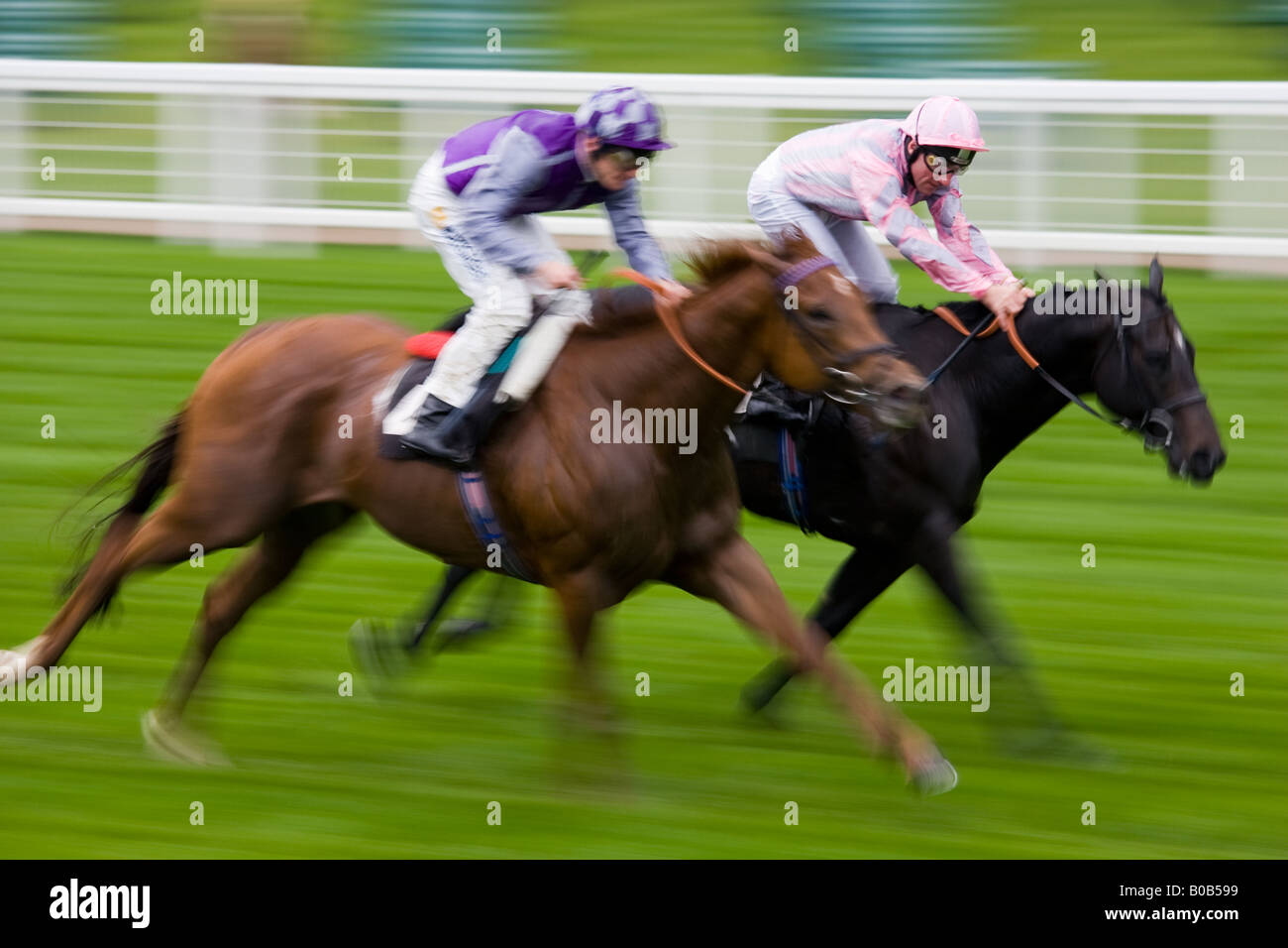 Top flat racing jockey hi-res stock photography and images - Alamy