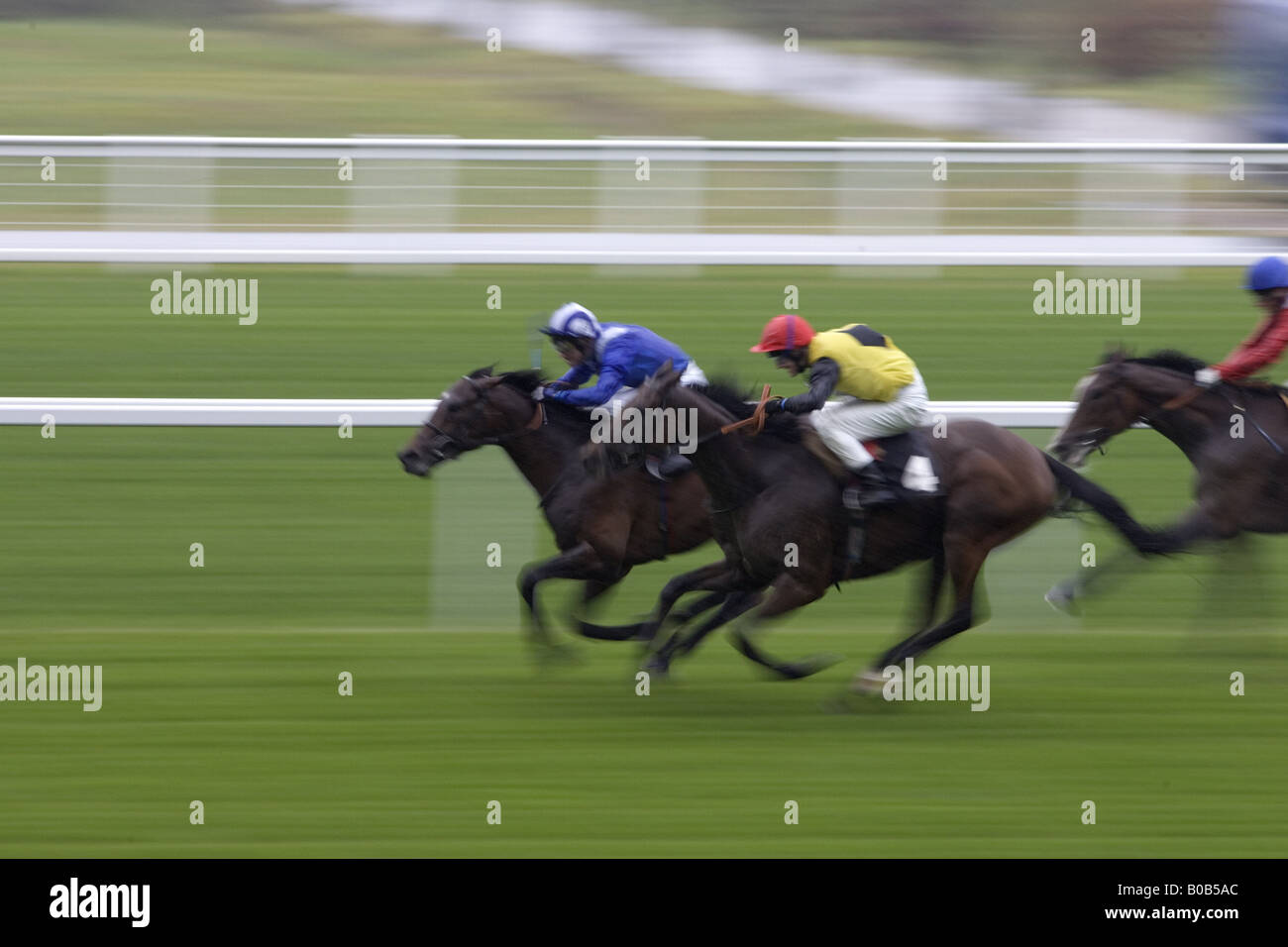 Running racecourse hi-res stock photography and images - Alamy