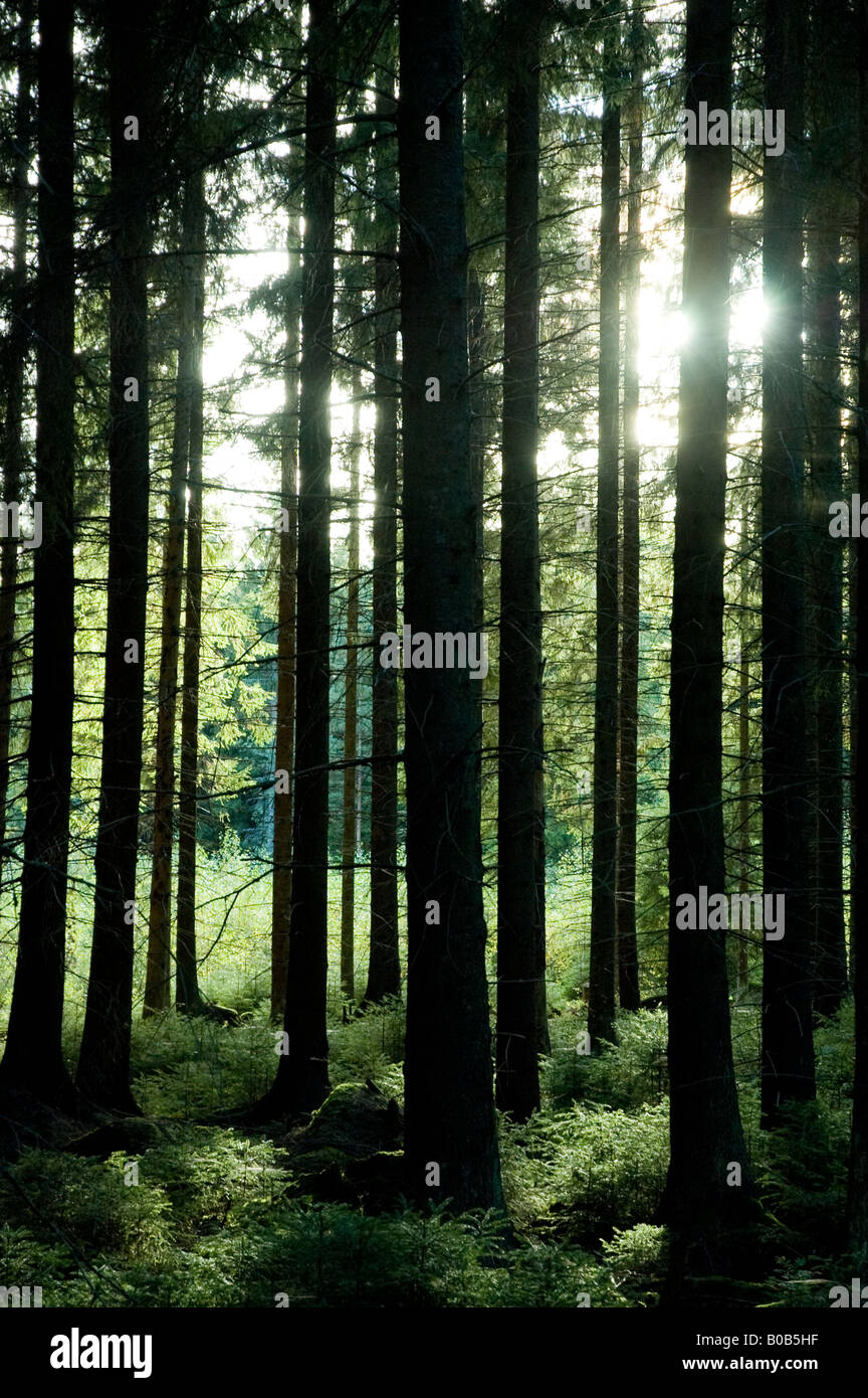 Tall vertical upright format hi-res stock photography and images - Alamy