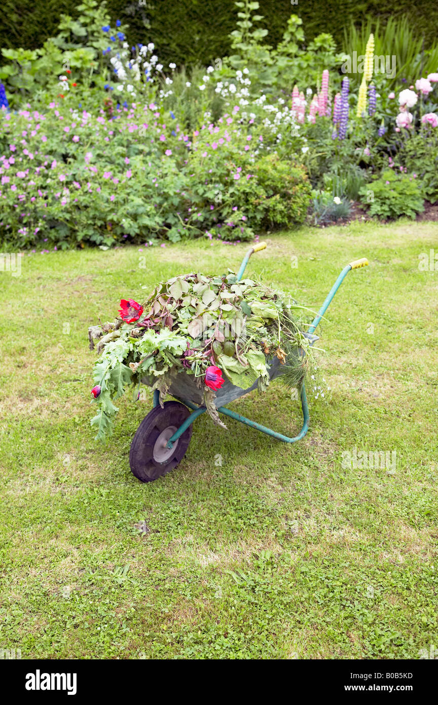 Wheelbarrow on Lawn by Flower Border Stock Photo - Alamy