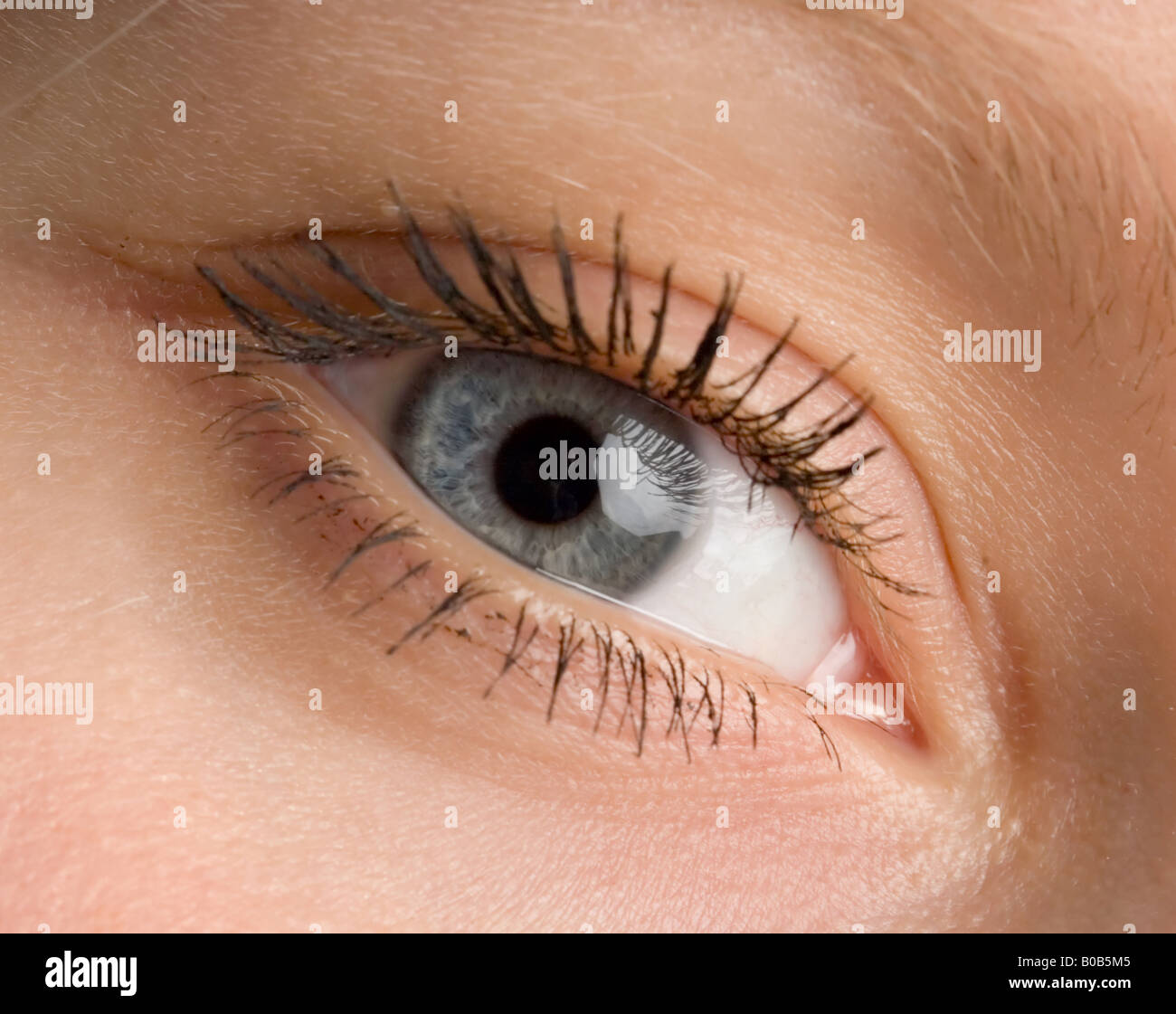 Human wide open blue eye hi-res stock photography and images - Alamy