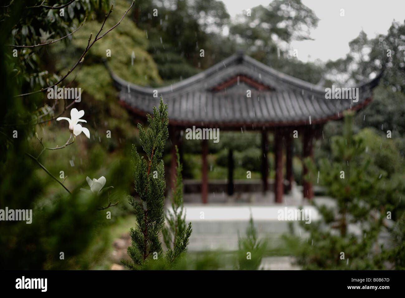 Dragon well hi-res stock photography and images - Alamy