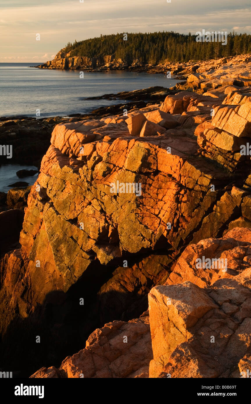 USA; Maine; Acadia NP. View along the cliffs Stock Photo - Alamy