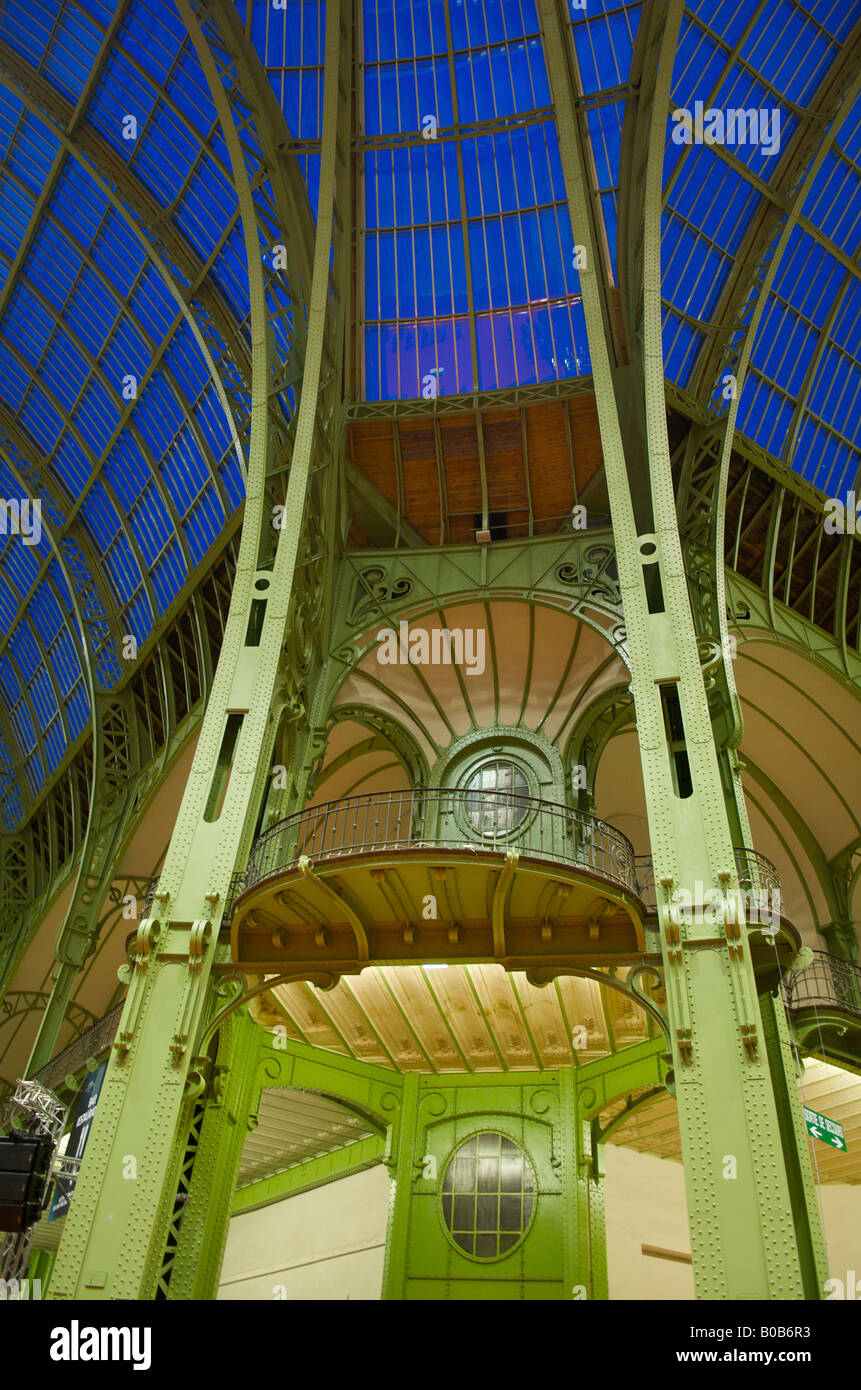 Structure of the Grand Palais in Paris Stock Photo - Alamy