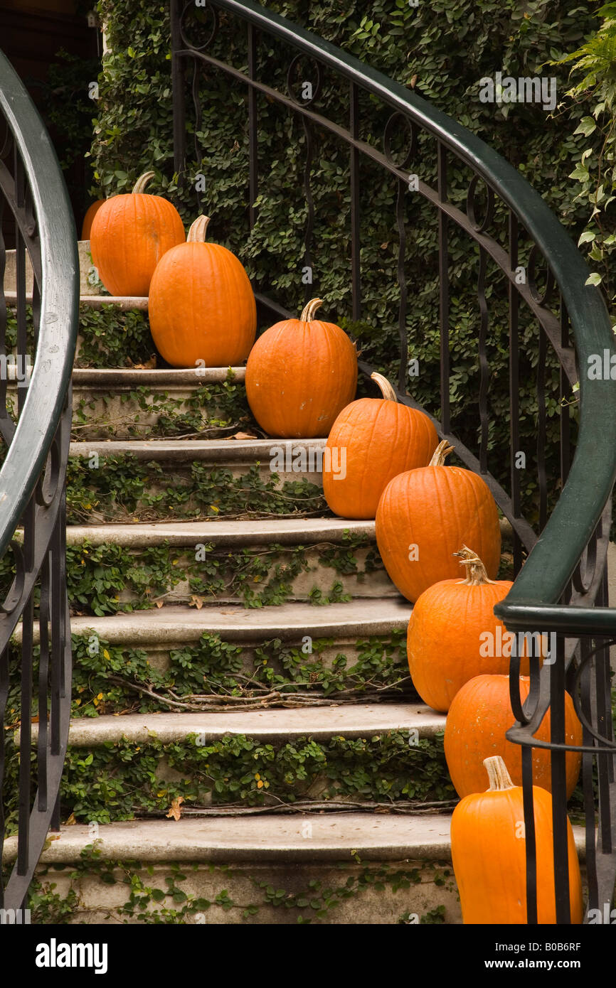 Wrought iron architecture in savannah hi-res stock photography and ...