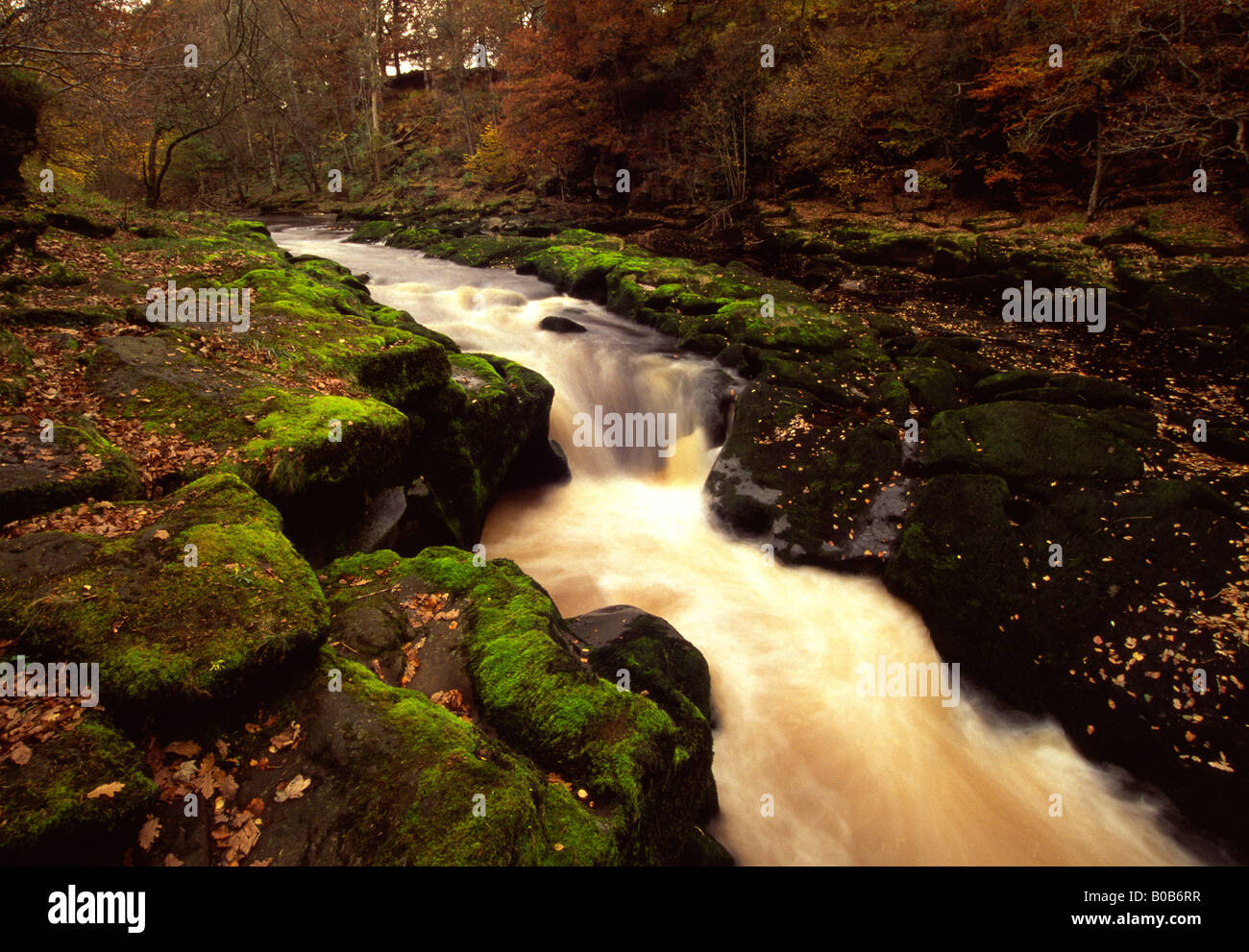 The Strid Bolton Abbey North Yorkshire England Stock Photo - Alamy