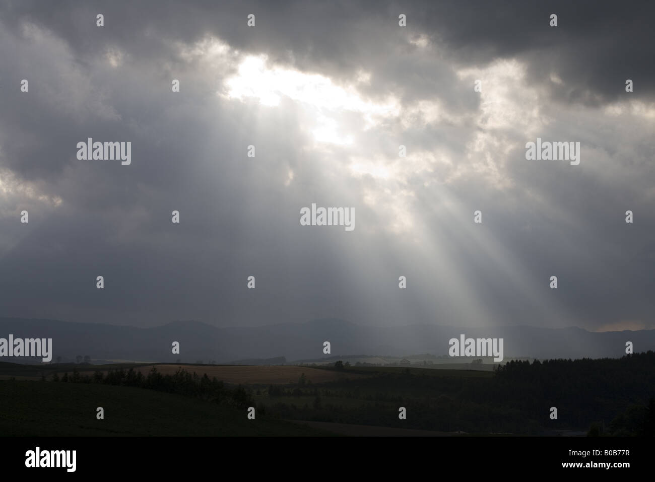 Light polluted horizon hi-res stock photography and images - Alamy