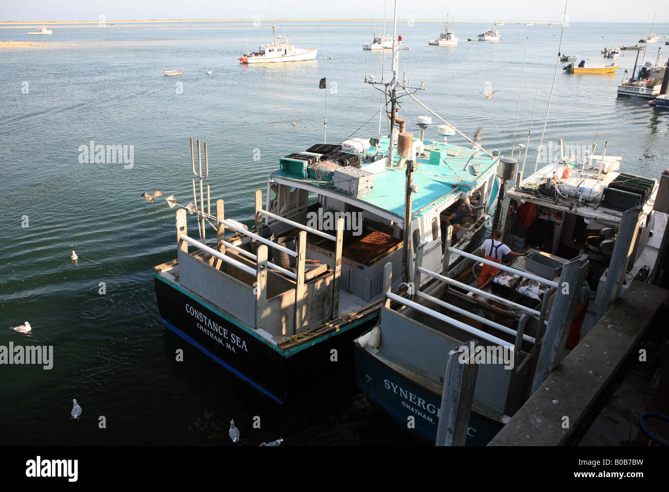 Bringing Home the Fish, Chatham Harbour, Cape Cod, Massachusetts, New ...