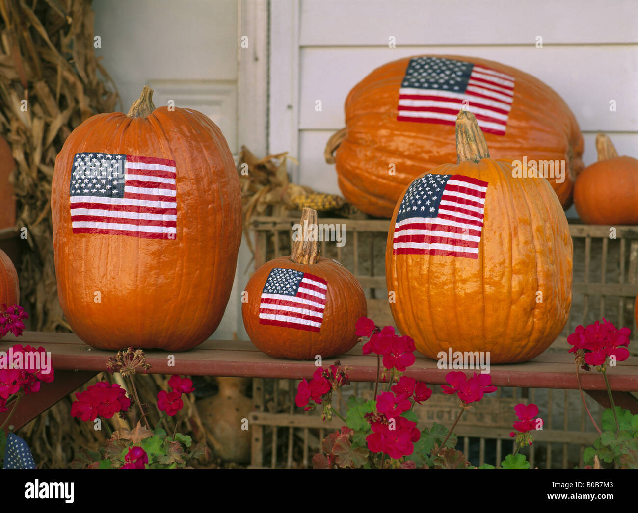 AMERICAN FLAGS PAINTED ON PUMPKINS DISPLAYED ON FRONT PORCH ...