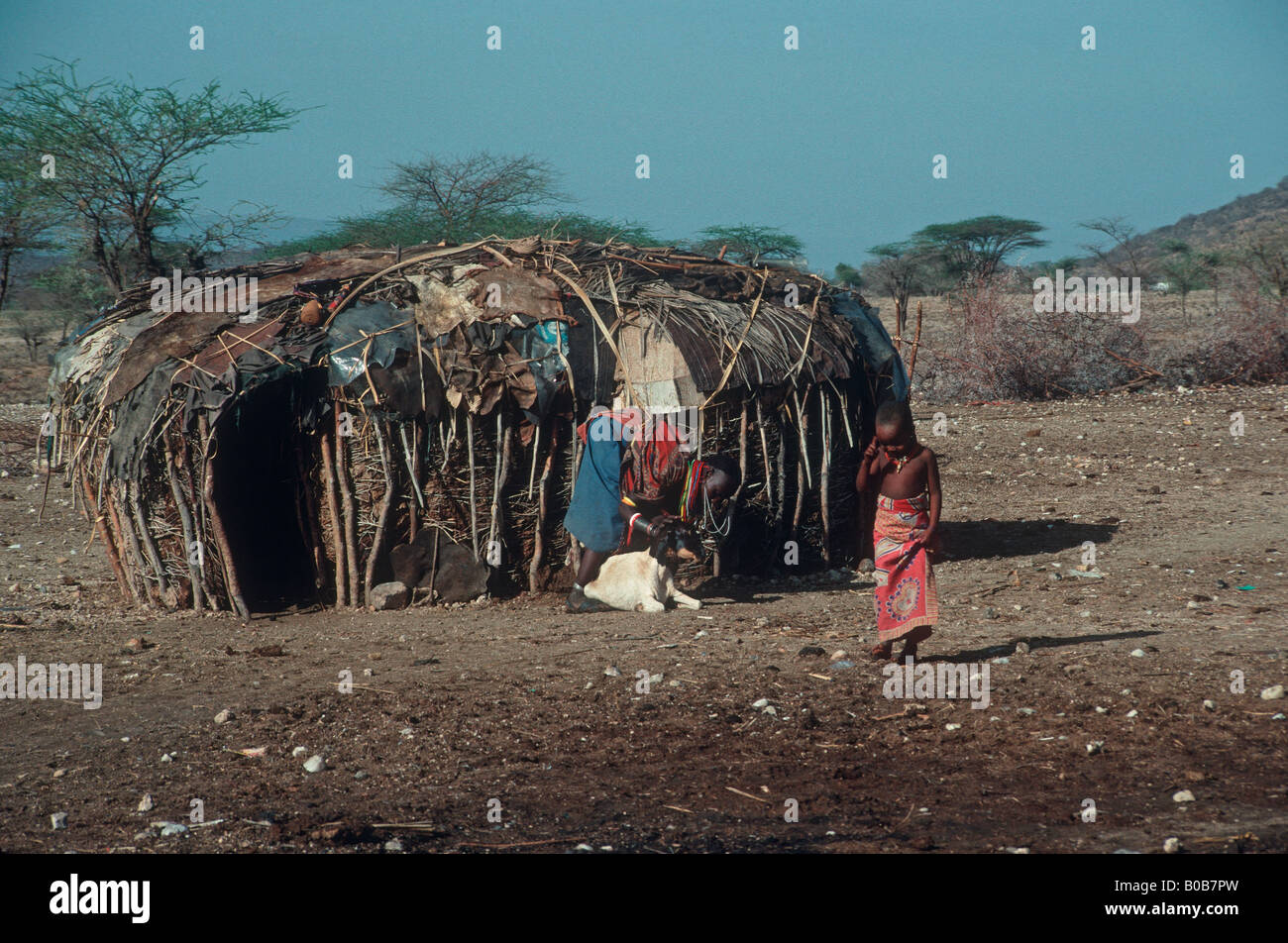 Masai woman child and goat outside masai manyatta Rift Valley Kenya ...