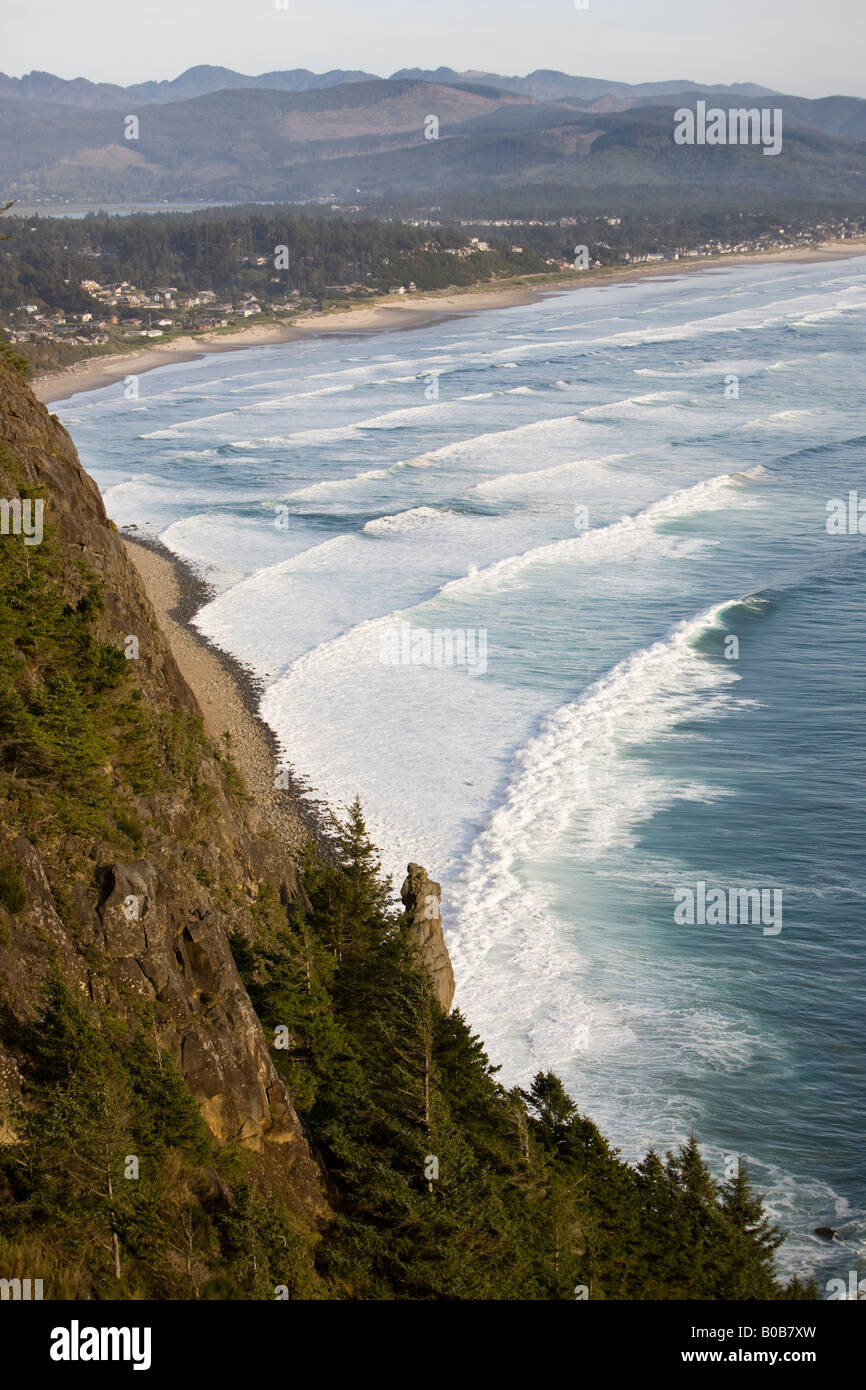 Oregon falcon hi-res stock photography and images - Alamy