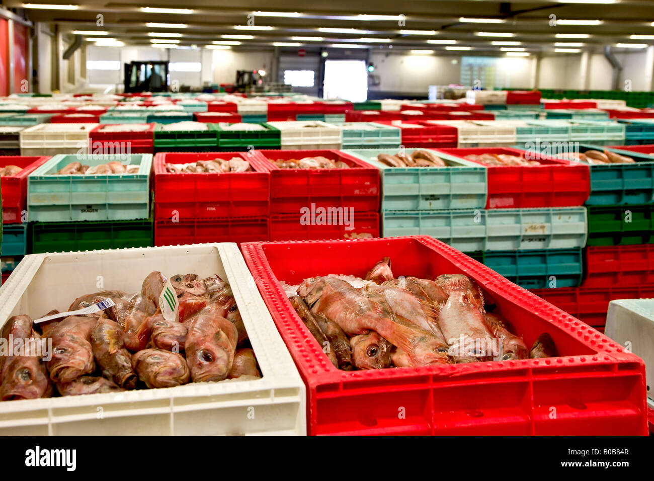 The Fish auction room in Hanstholm Stock Photo - Alamy