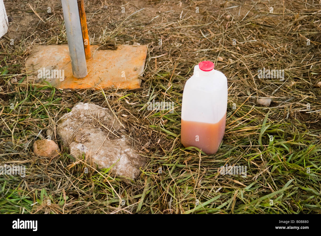 Plastic gallon apple cider hi-res stock photography and images - Alamy