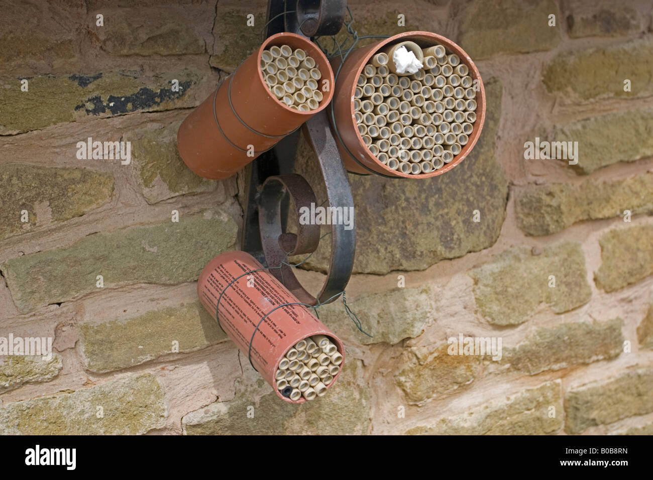 Insect houses artificial habitat with hollow tubes on house wall to ...