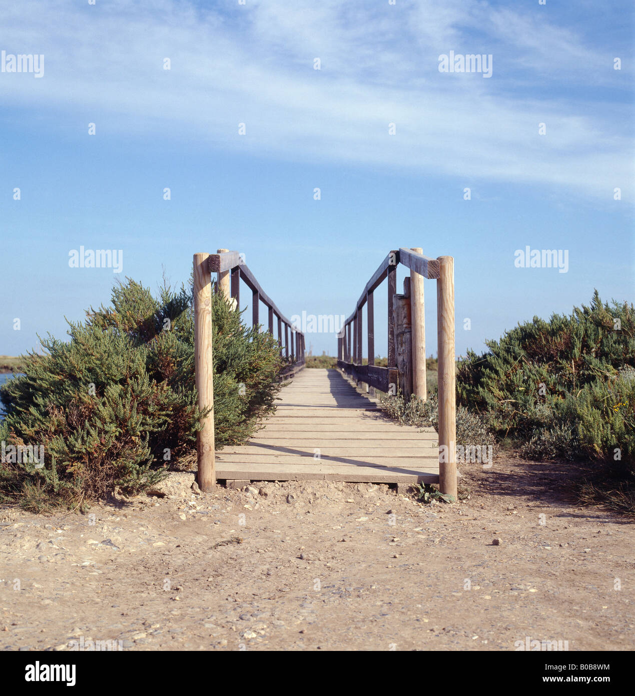In saltmarsh hi-res stock photography and images - Alamy