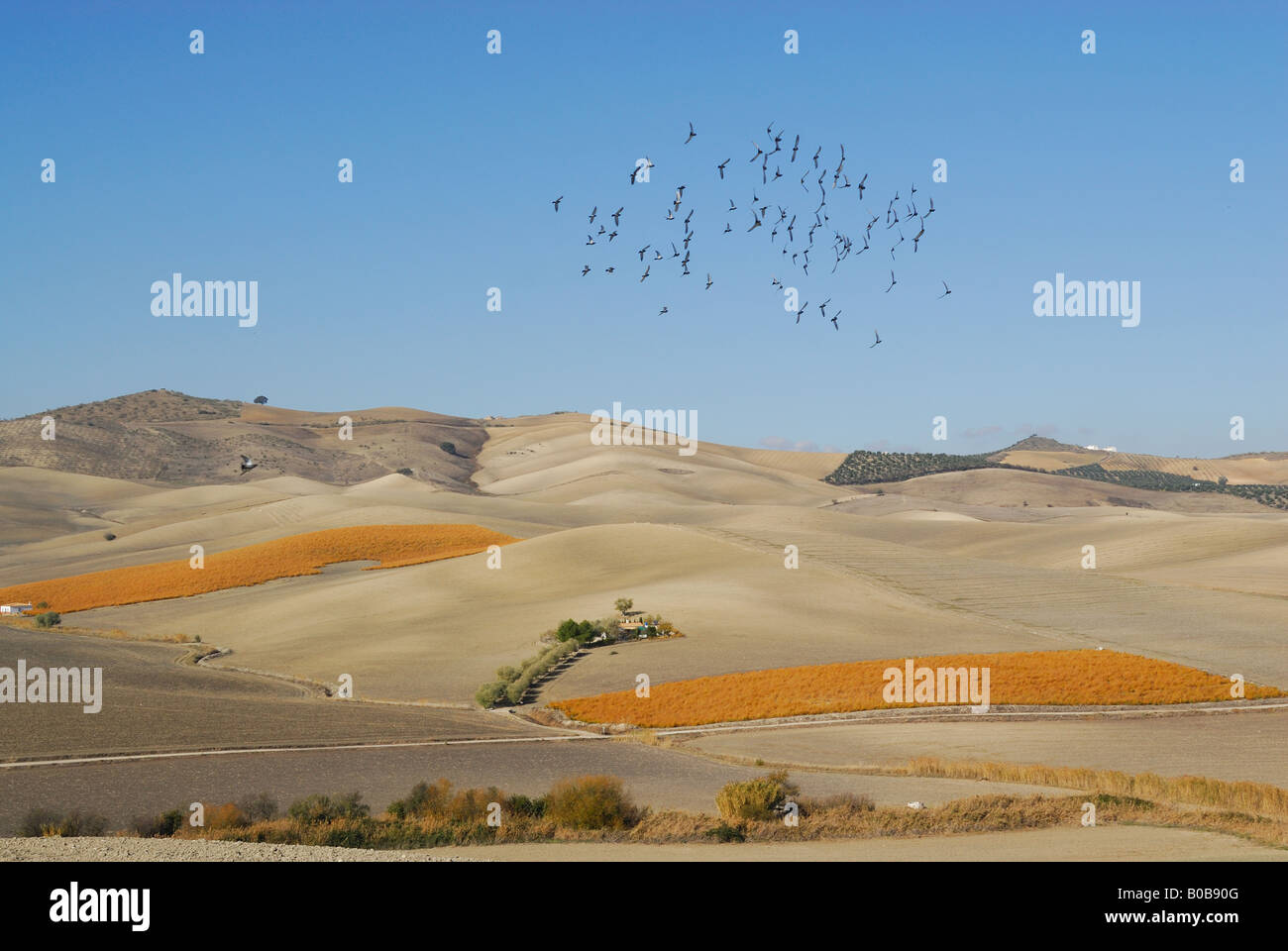 Andalusian country view Stock Photo - Alamy