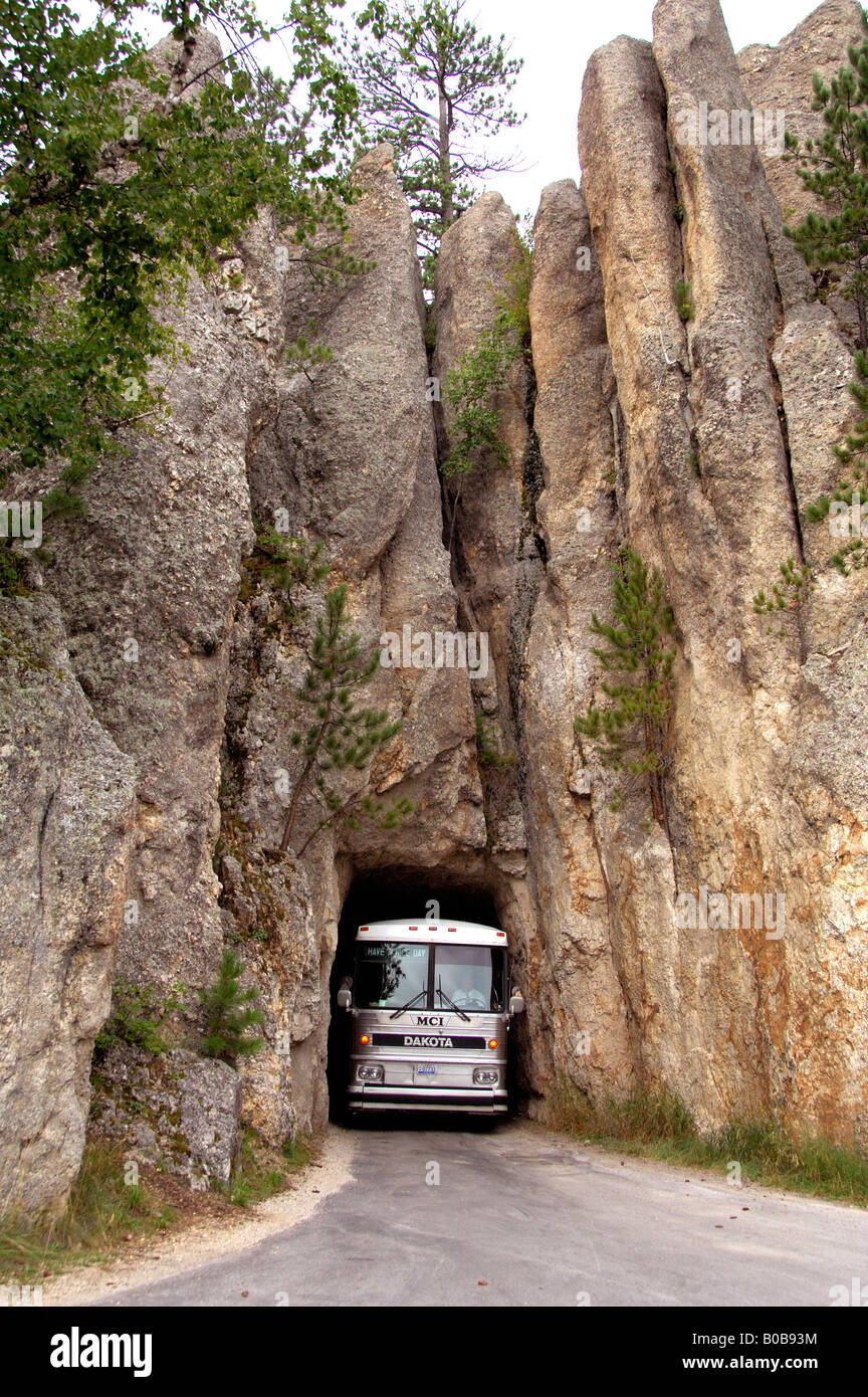 North America, USA, South Dakota, Custer State Park, Needle Highway ...