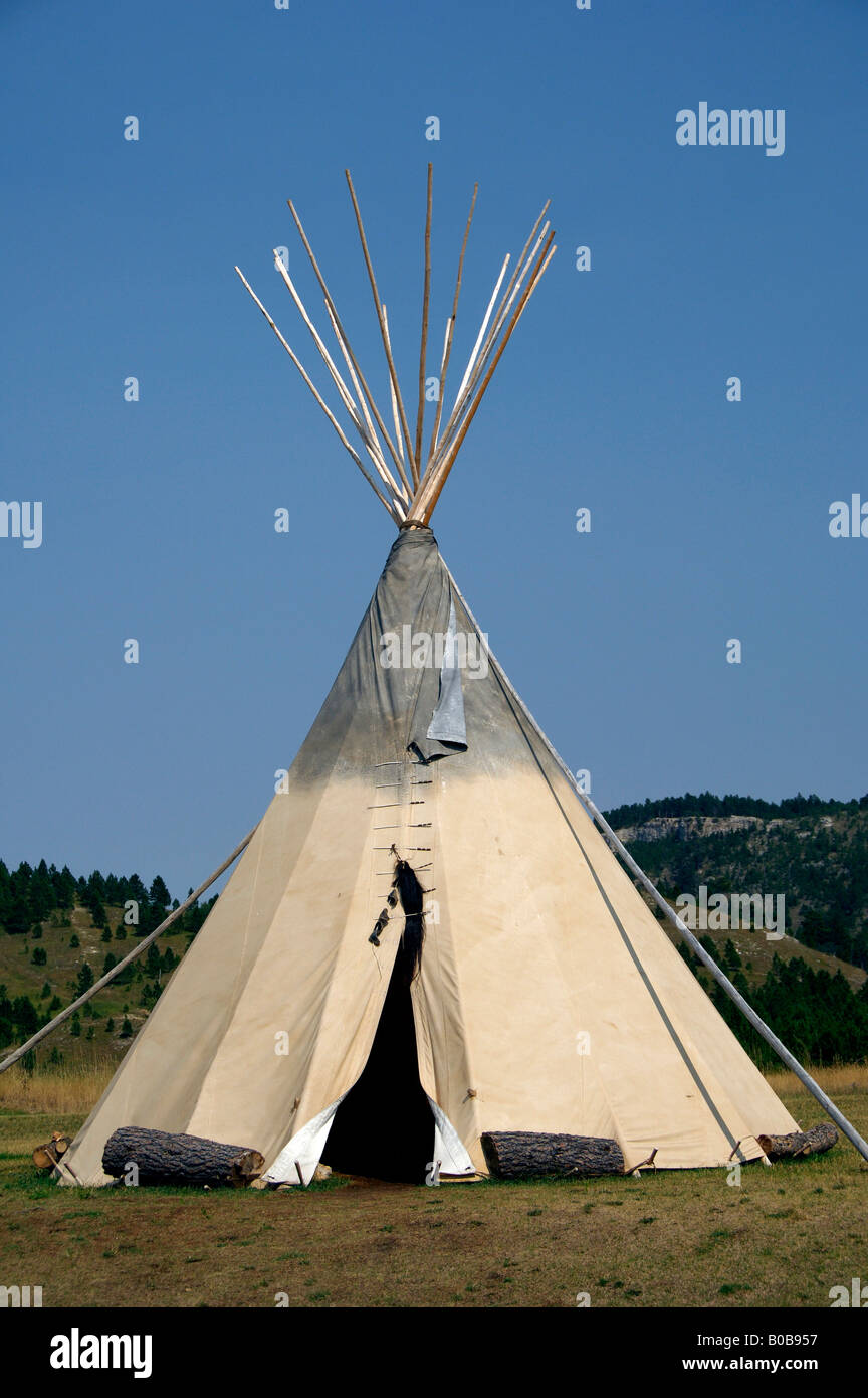 Tatanka story of the bison hi-res stock photography and images - Alamy