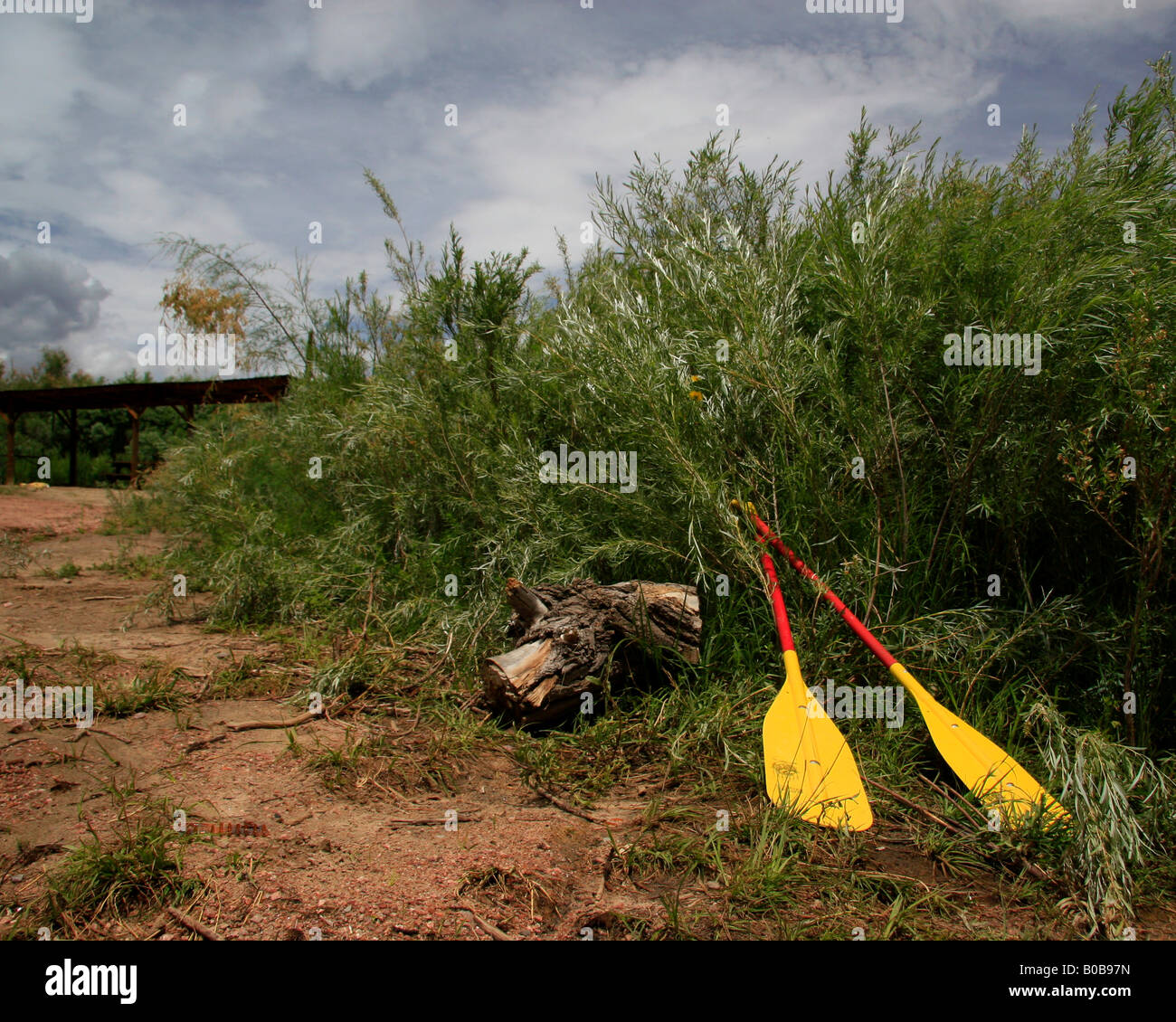 Two canoe paddles hi-res stock photography and images - Alamy