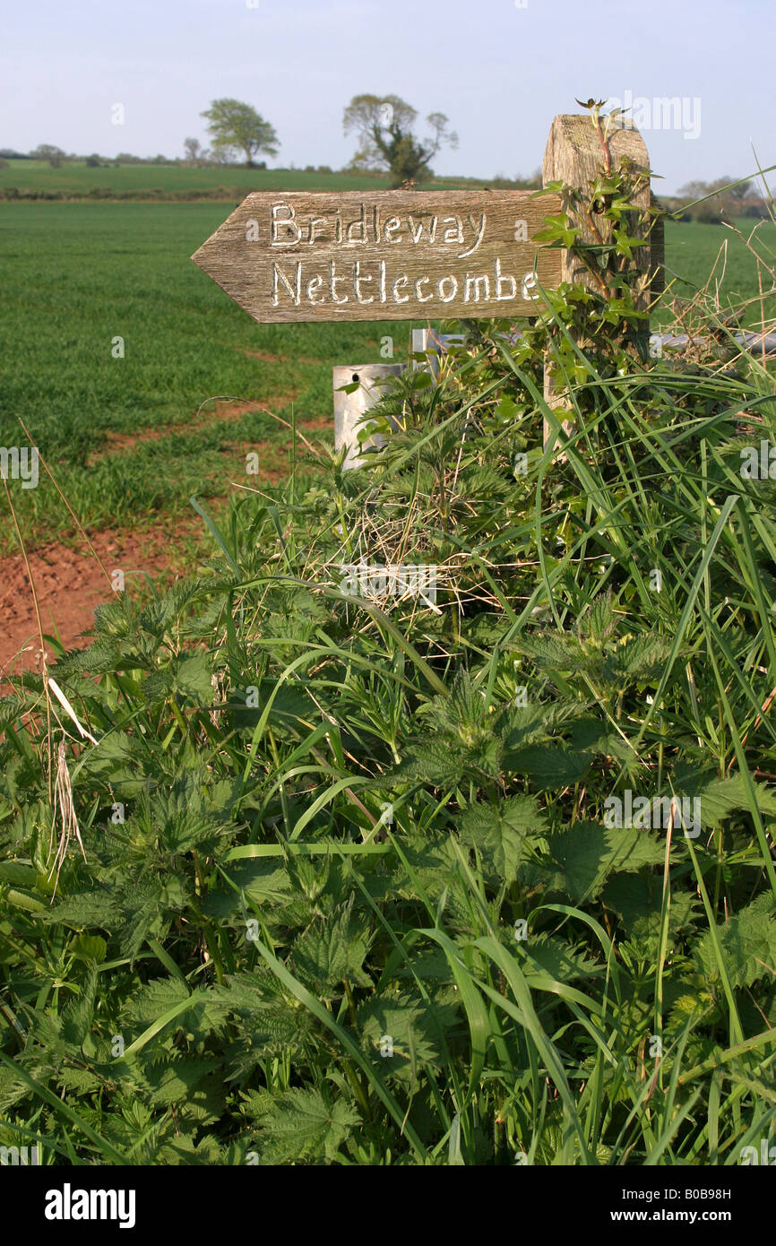 Nettlecombe somerset hi-res stock photography and images - Alamy