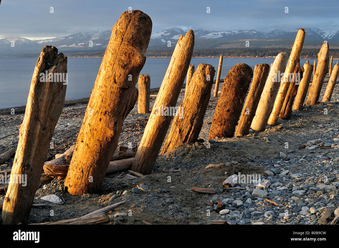 Log breakwater hi-res stock photography and images - Alamy