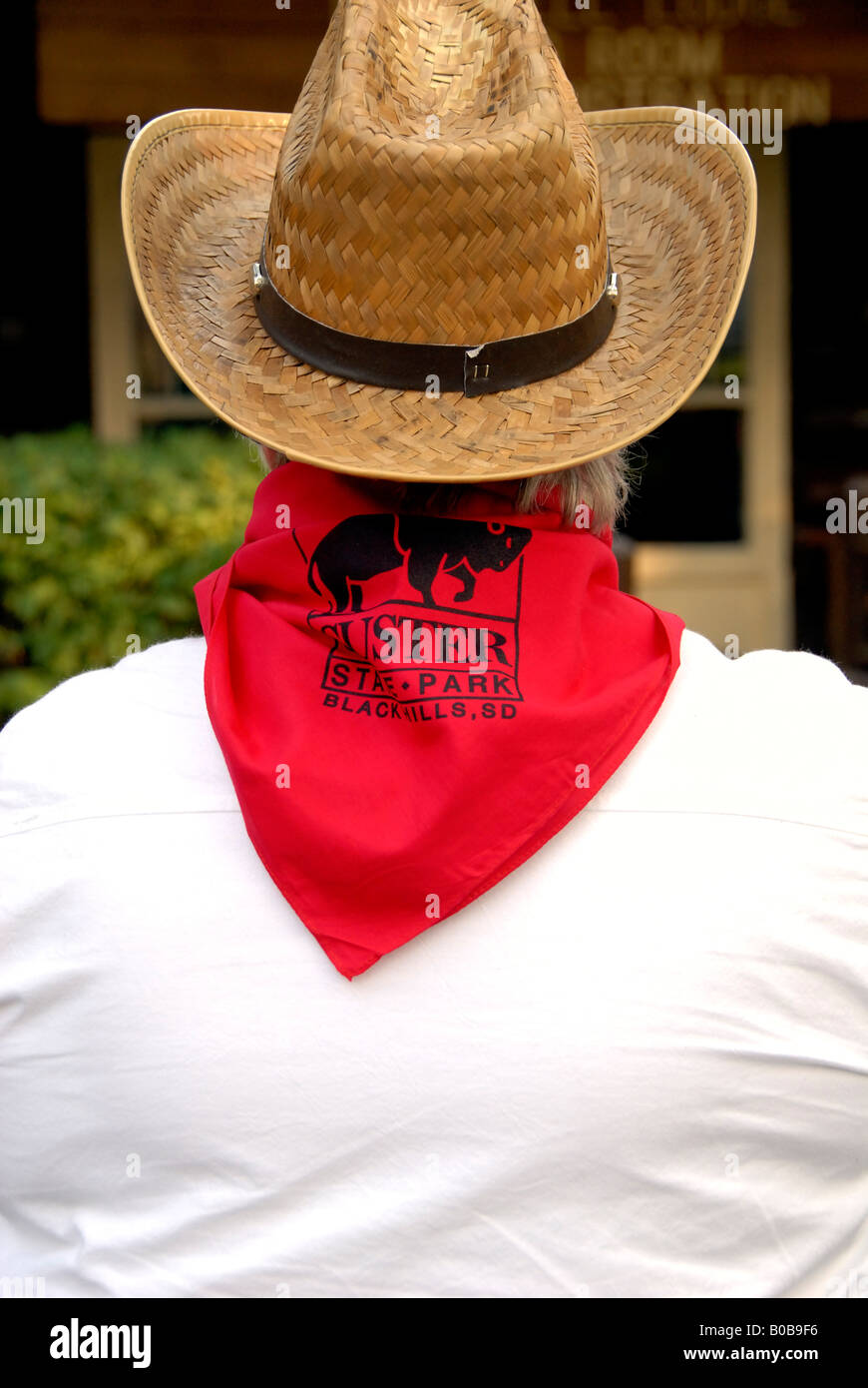 North America, USA, South Dakota, Custer State Park. Blue Bell Lodge ...