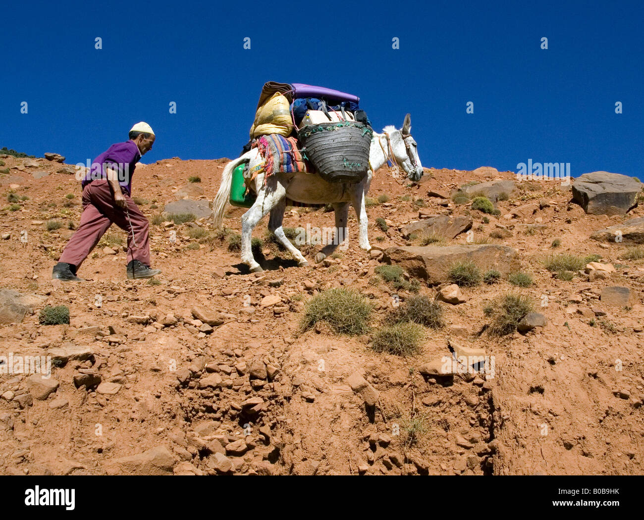 Toubkal morroco hi-res stock photography and images - Alamy