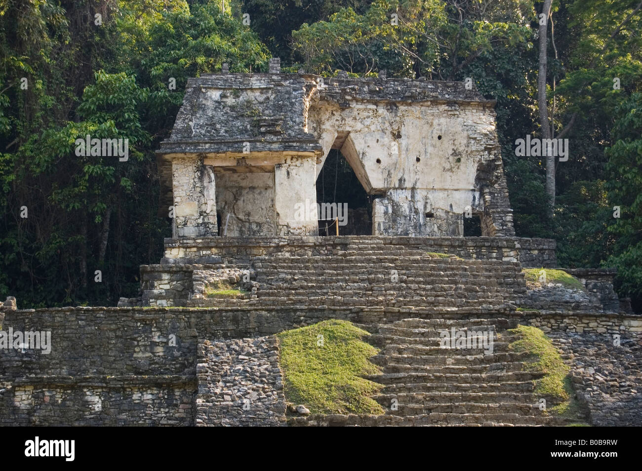 Skull Temple in Palenque Mexico Stock Photo - Alamy