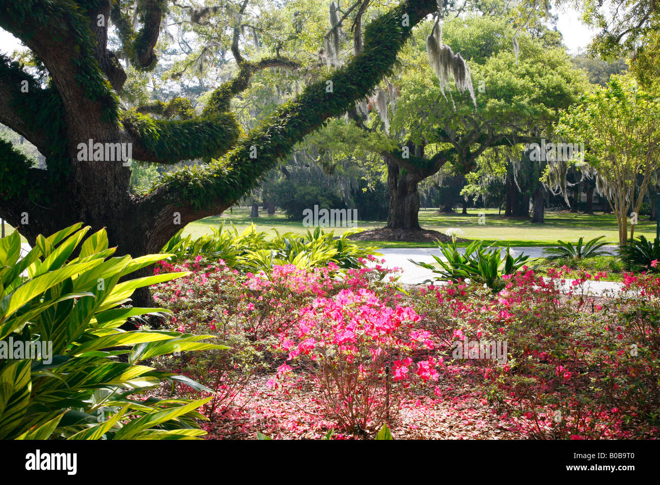 Historic Jekyll Island, Georgia Stock Photo - Alamy