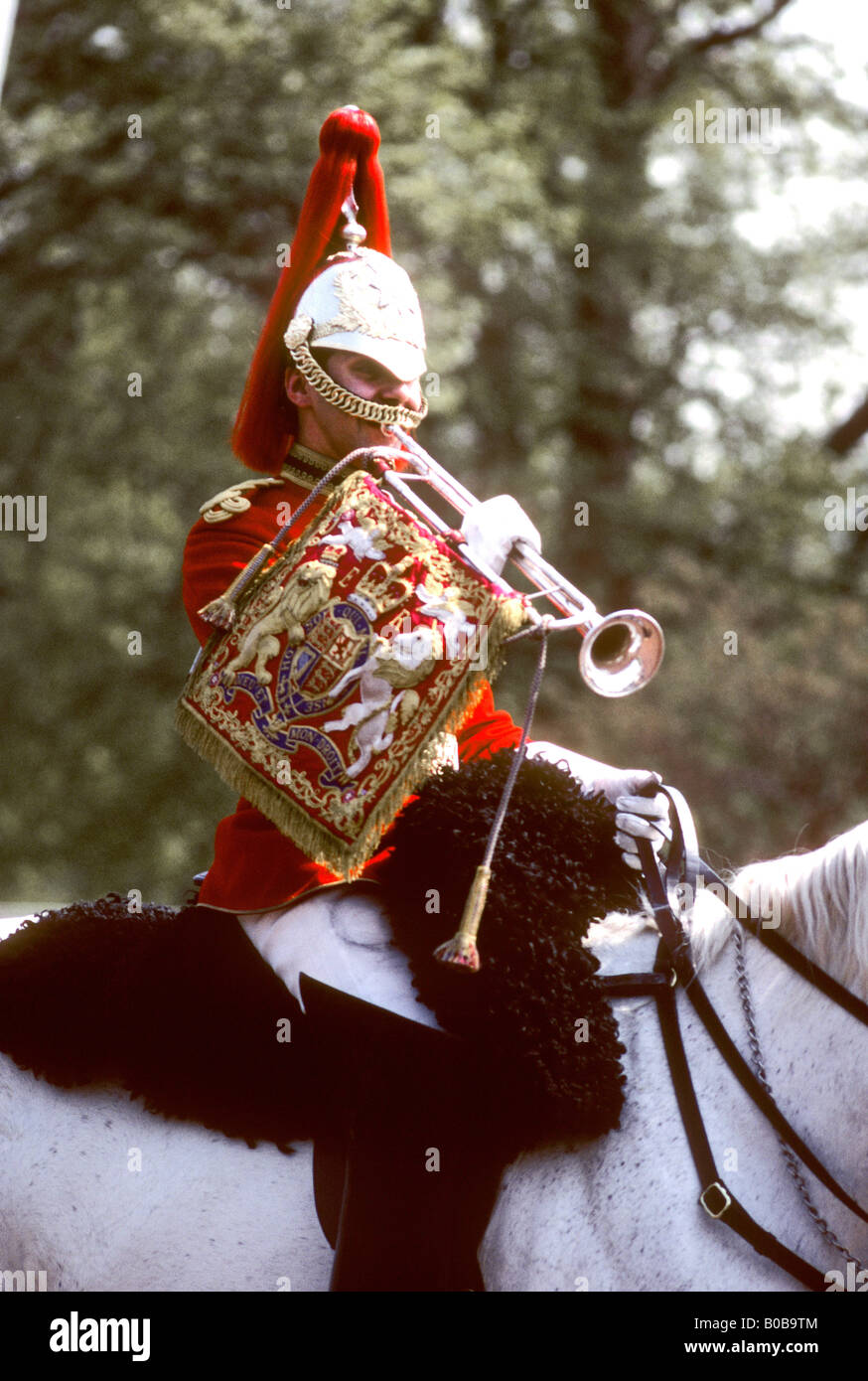 Life Guard Trumpeter cavalry soldier uniform plumed helmet ceremonial ...