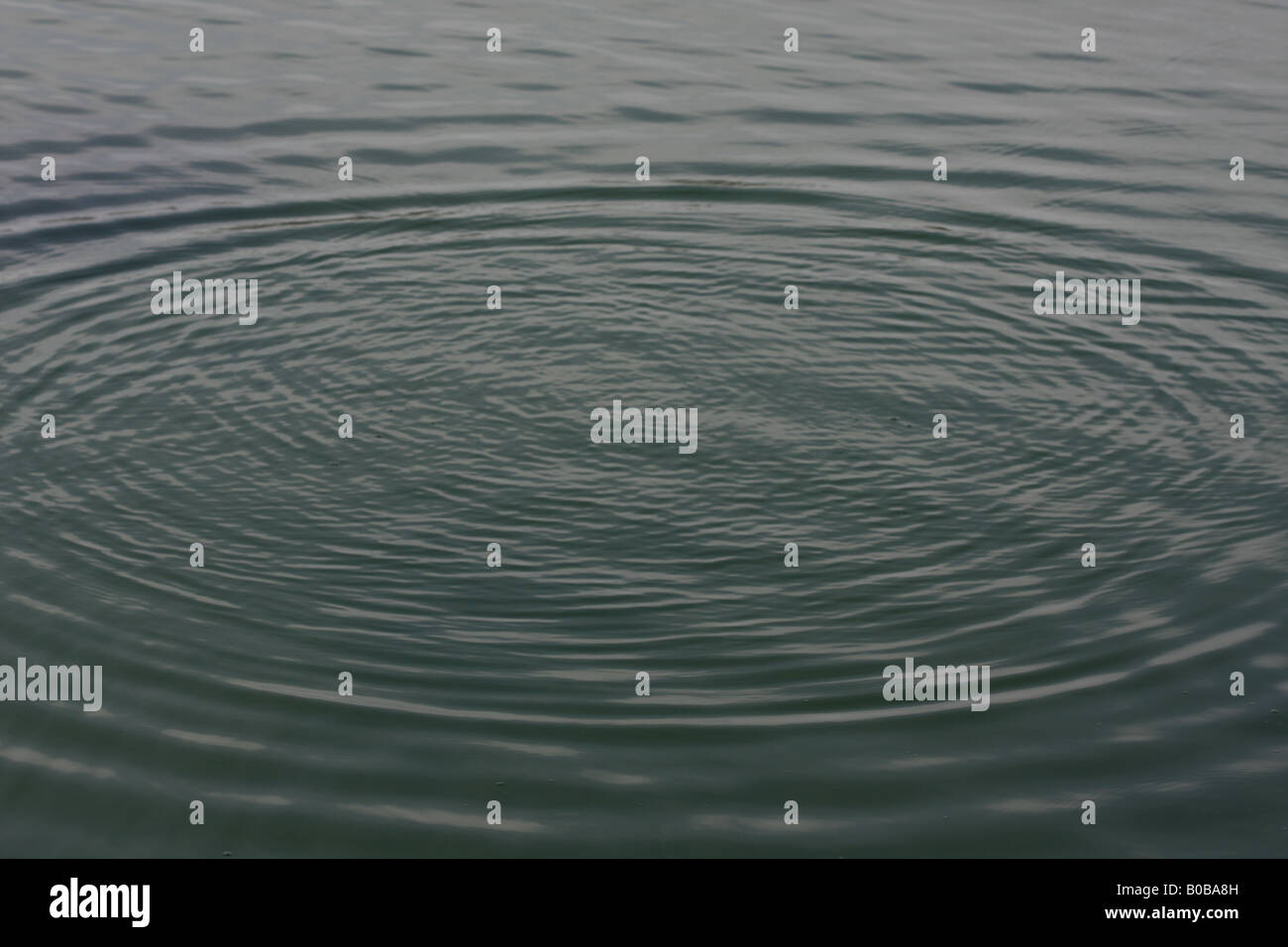 Ripple on Lake Stock Photo - Alamy