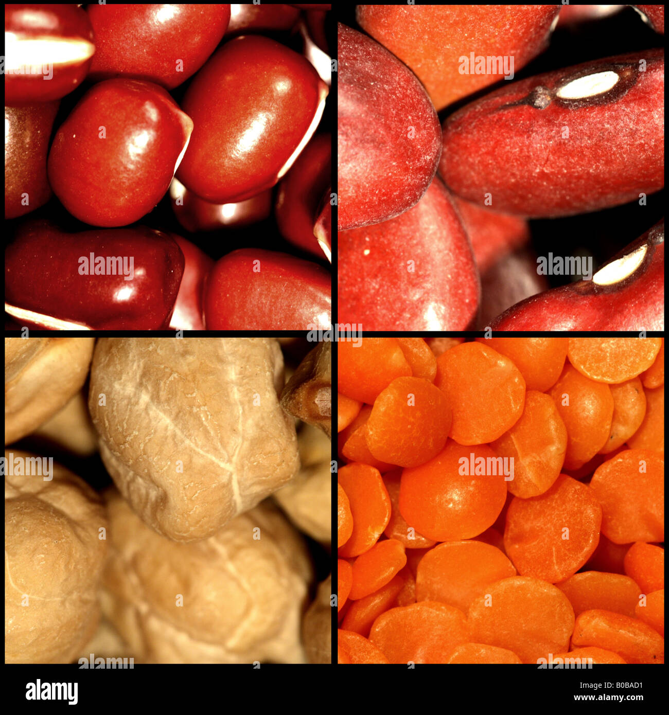 "PULSES: MUNG BEANS, CHILLI BEANS, CHICKPEAS & LENTILS Stock Photo - Alamy