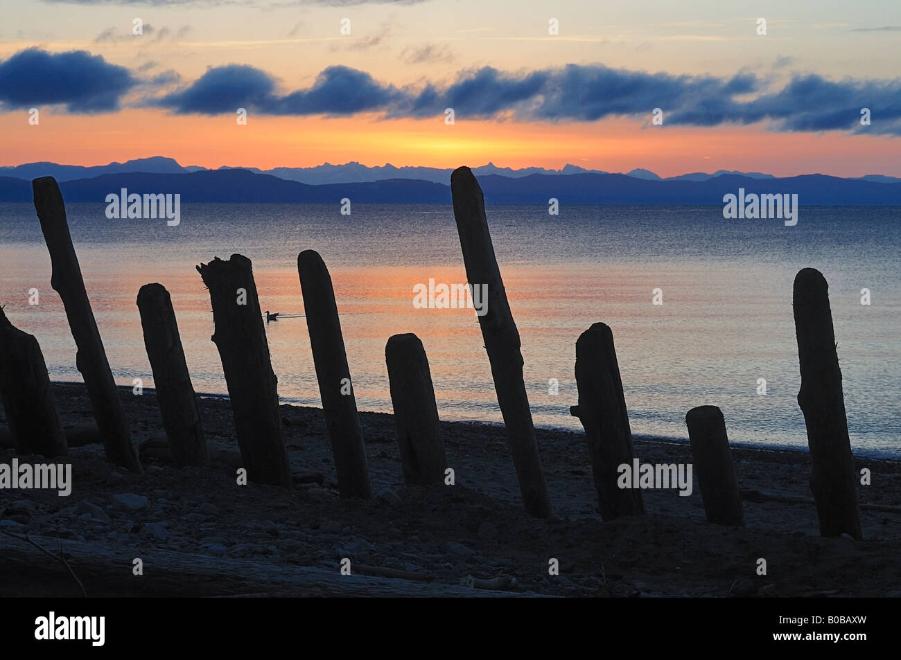Log Breakwater High Resolution Stock Photography and Images - Alamy