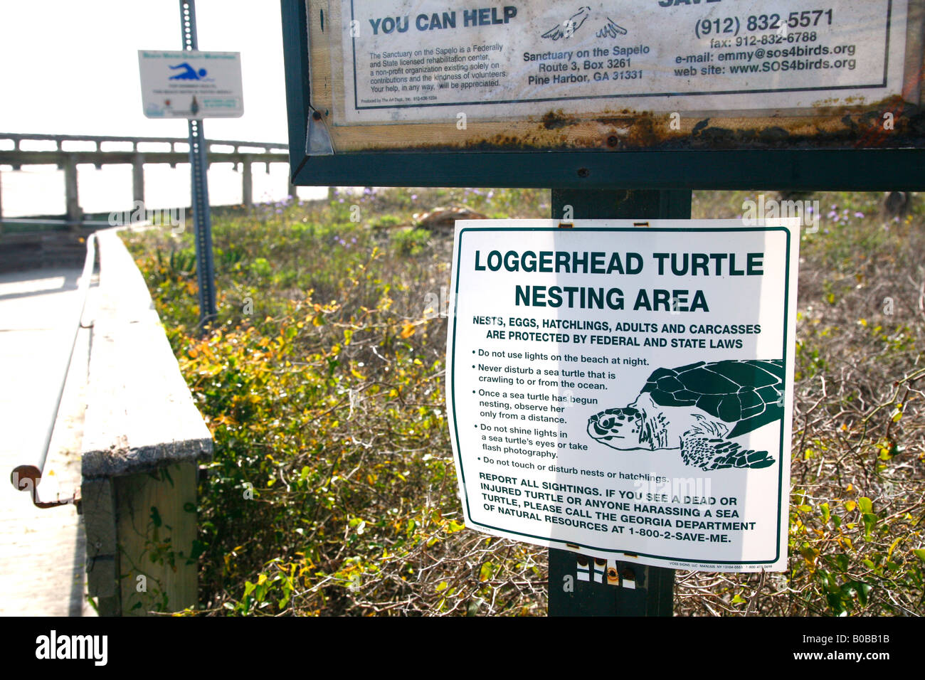 Sea turtle conservation sign, Jekyll Island, Georgia Stock Photo - Alamy